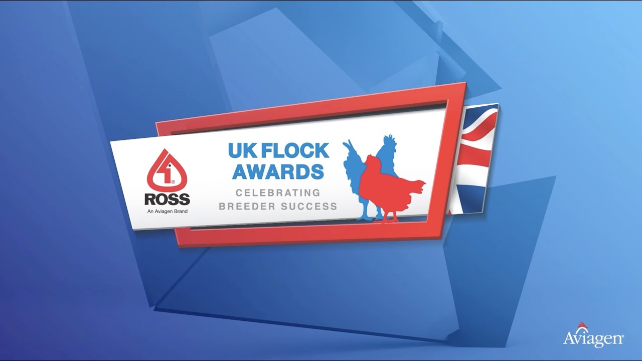 2020 Ross Flock Awards: Stuart Thomson