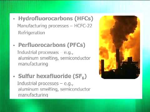 Carbon 101 Reduction Program: CHAPTER 1