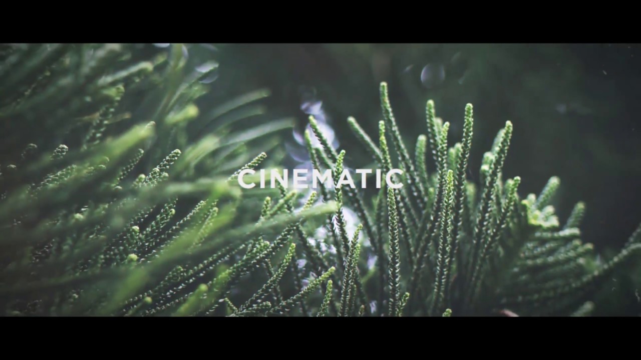 Epic Cinematic Slideshow | After Effects Template | Openers