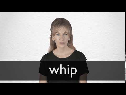 WHIP definición y significado | Diccionario Inglés Collins