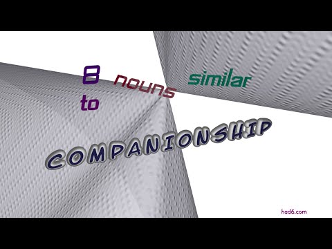 companionship - 9 nouns which mean companionship (sentence examples)