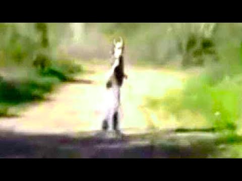 In 1946 Something Happened At This National Park That Scientists Can Not Explain