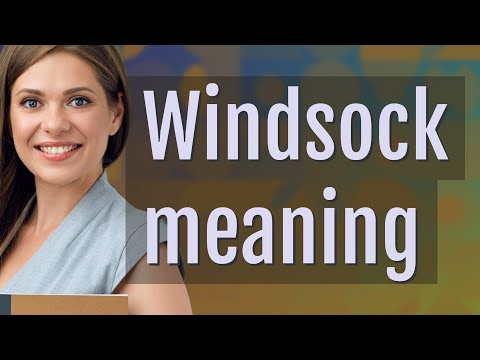 Windsock | meaning of Windsock