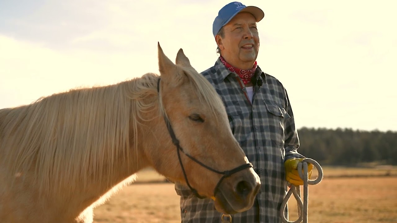 Tim Whiting II - Tim Whiting II