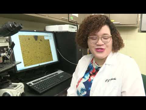 UW-Madison Department of Food Science researches “no melt” ice cream