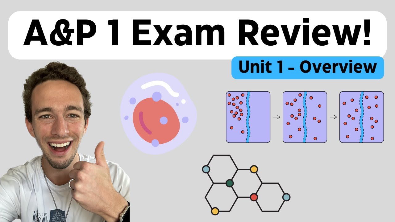 Anatomy & Physiology: Unit 1 Review | Homeostasis, Chemistry, Cells, & Tissues