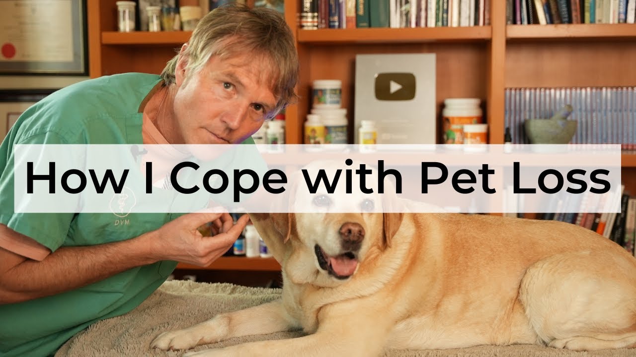 Euthanasia, Sudden death: How Do Veterinarians Cope?