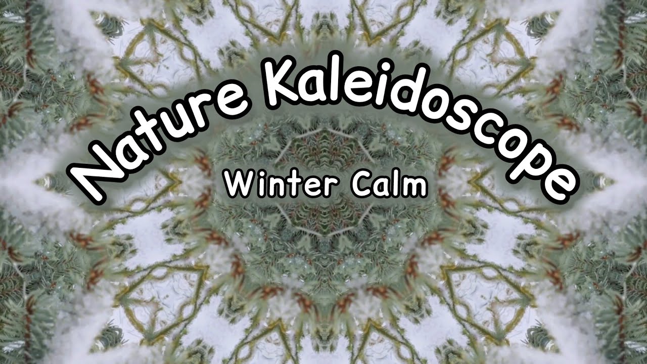 Winter Kaleidoscope – Calm Snow & Evergreen Visuals