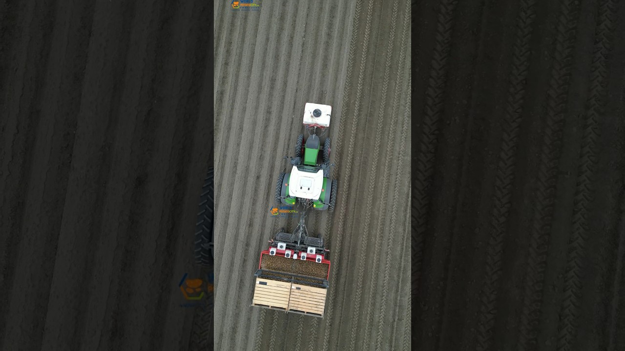 YES, ANOTHER POTATO PLANTER 💥 [Miedema structural 4000 with Fendt] #shorts