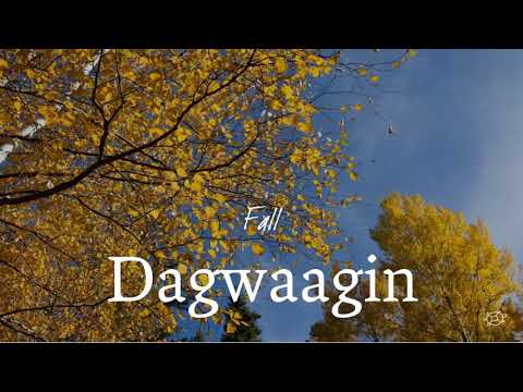 How to say fall in Anishinaabemowin, the Ojibwe language.