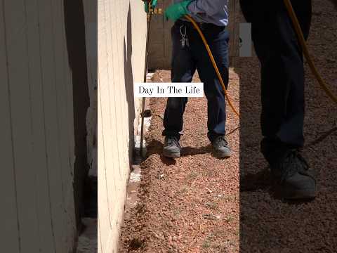 Another day in the life of a Pest Control Specialist 😎 #shorts #pestcontrol #arizona