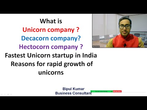 What is Unicorn/Decacorn/Hectocorn company ? Fastest Unicorn startup in ...