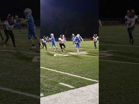 Vernon viper youth football