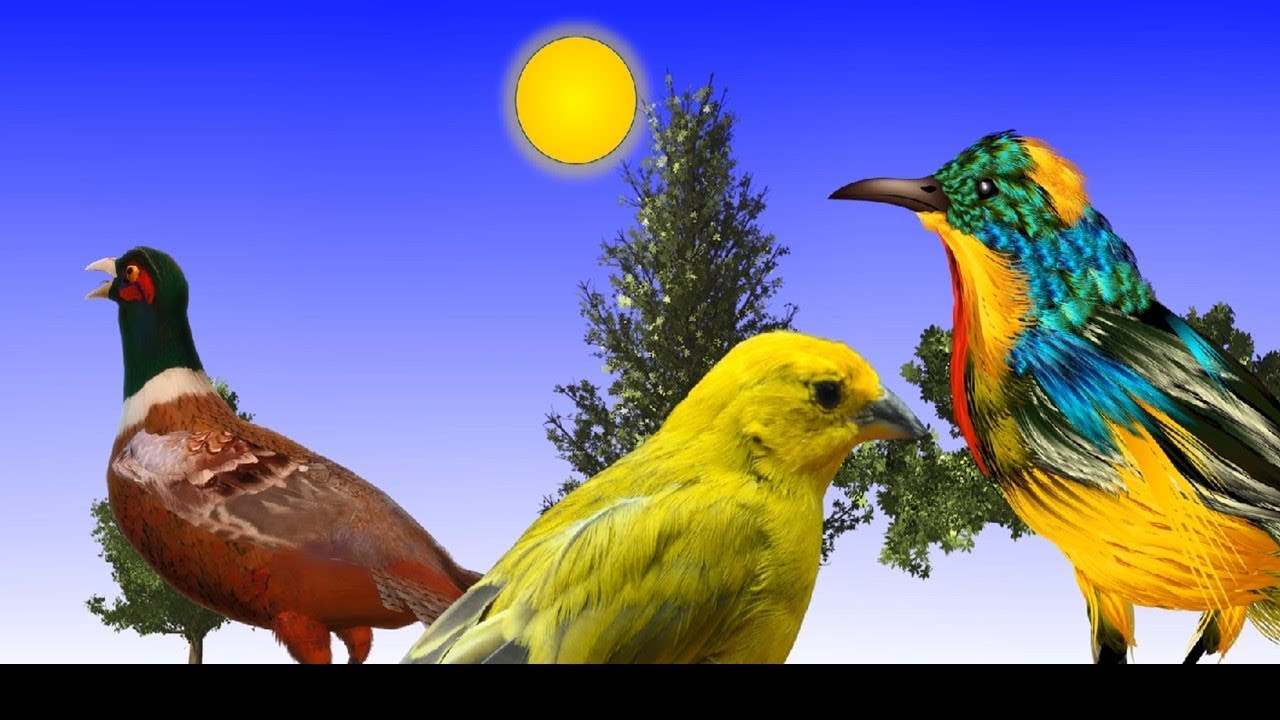 Powerpoint Animation l Animals and Trees run at different speed – Moving Effect l Intermediate