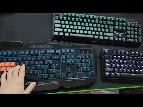 Blue Switch vs Red Switch vs Black Switch Comparison, Sound Test & Tactile Typing