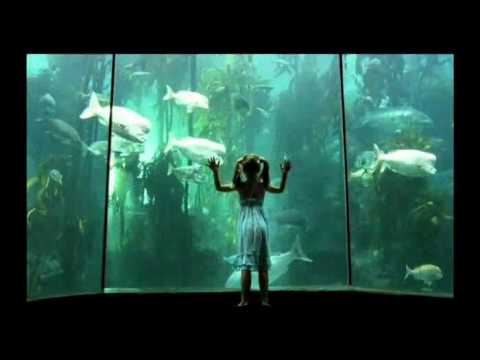 National Geographic presenta su nuevo slogan para 166 países: «Live ...