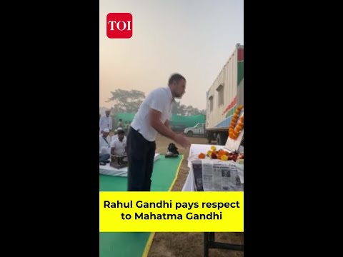 Rahul Gandhi pays tribute to Mahatma Gandhi