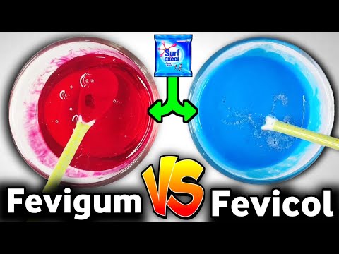 FEVIGUM VS FEVICOL💦👅🎧 How to make Slime Activator with proof! How to make slime without borax [ASMR]