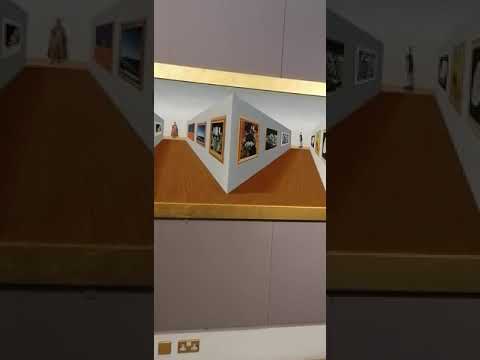 The illusion of movement
