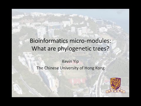 07. What are phylogenetic trees