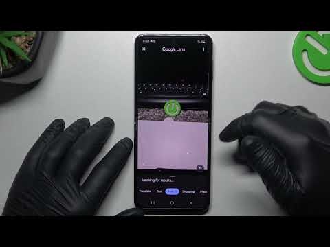 How to Perform a Reverse Photo Search in Google on SAMSUNG Galaxy Flip5?