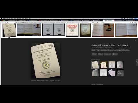 THE TRUTH ABOUT THE "IDP"