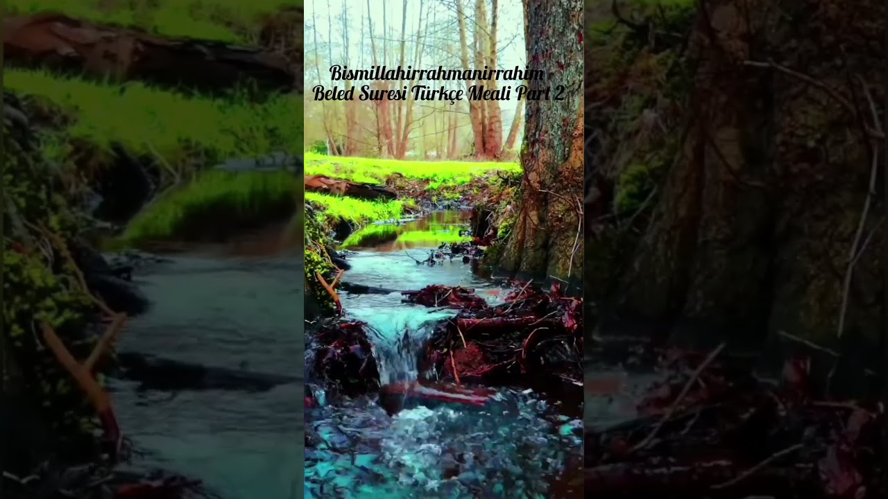 Beled Suresi Türkçe Meali Part 2 Dere Kuş Sesi