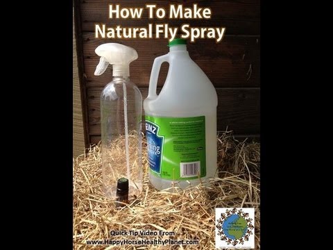 How To Make Natural Fly Spray For Your Horse | EcoEquine