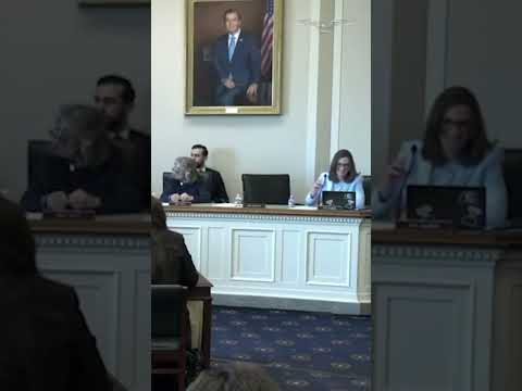 Heated moment in Congress after transgender member Sarah McBride referred to as "Mister" #shorts