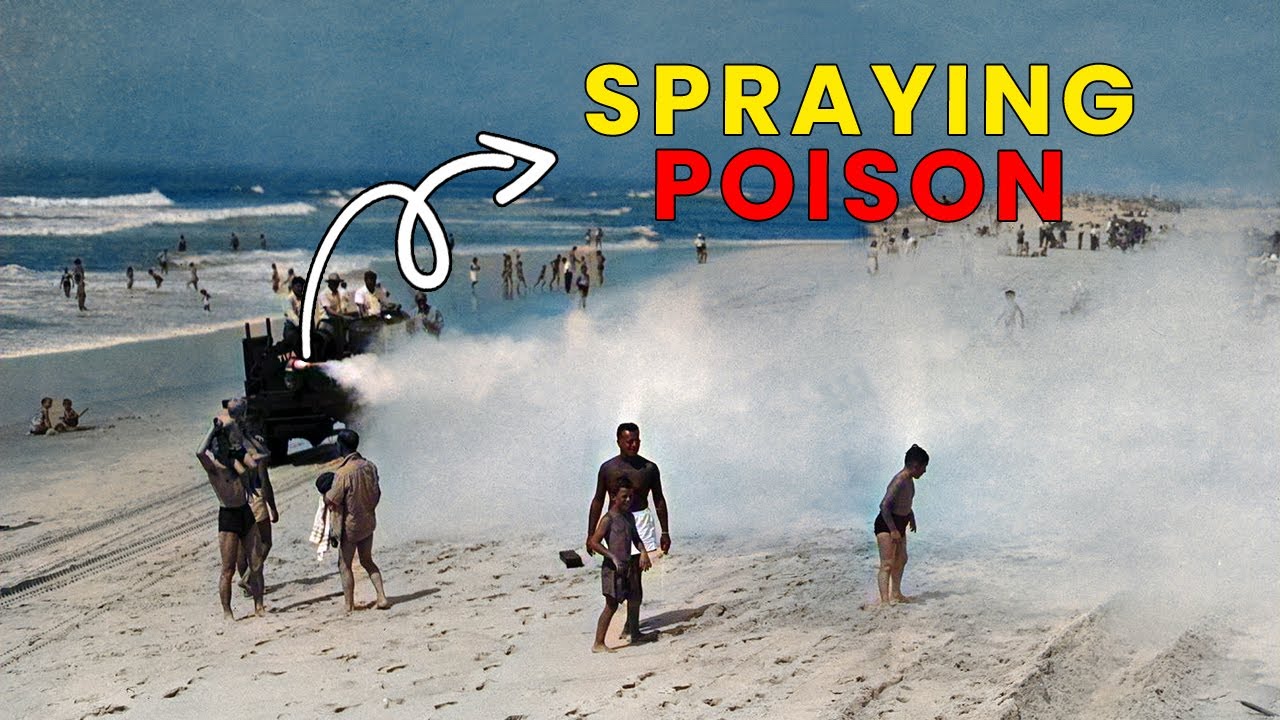 DDT: From Safest Chemical to Environmental Horror