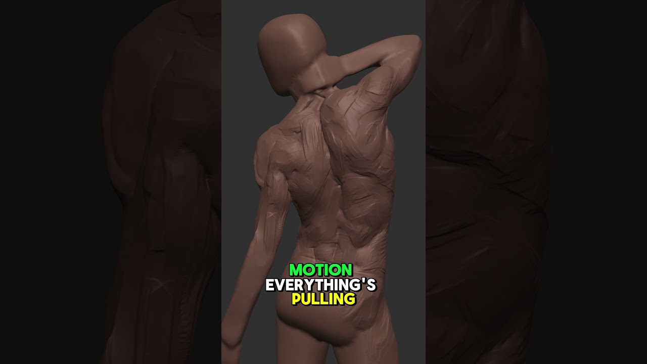 Sculpting the back in 20 seconds! #zbrush #anatomy