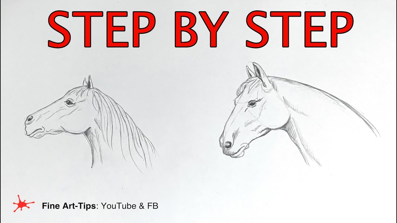 HOW TO DRAW A HORSE HEAD STEP BY STEP - Very easy