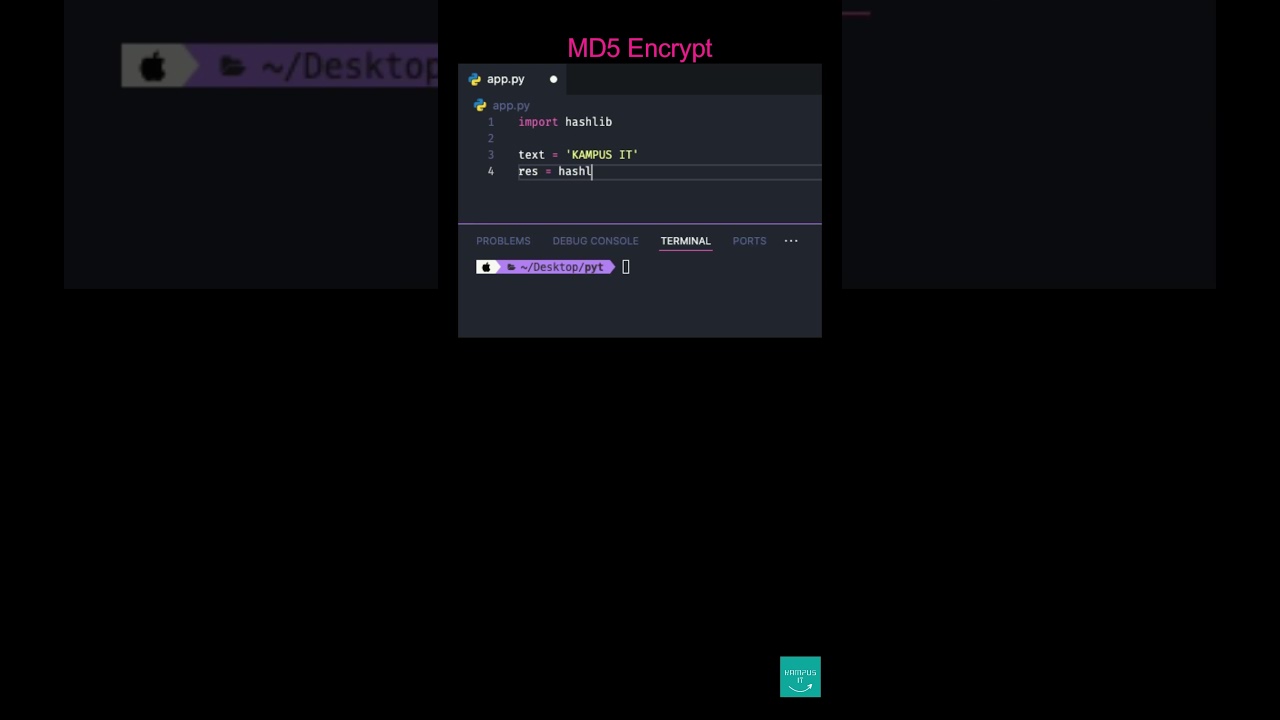 MD5 Hash Generator: Encrypt using Python