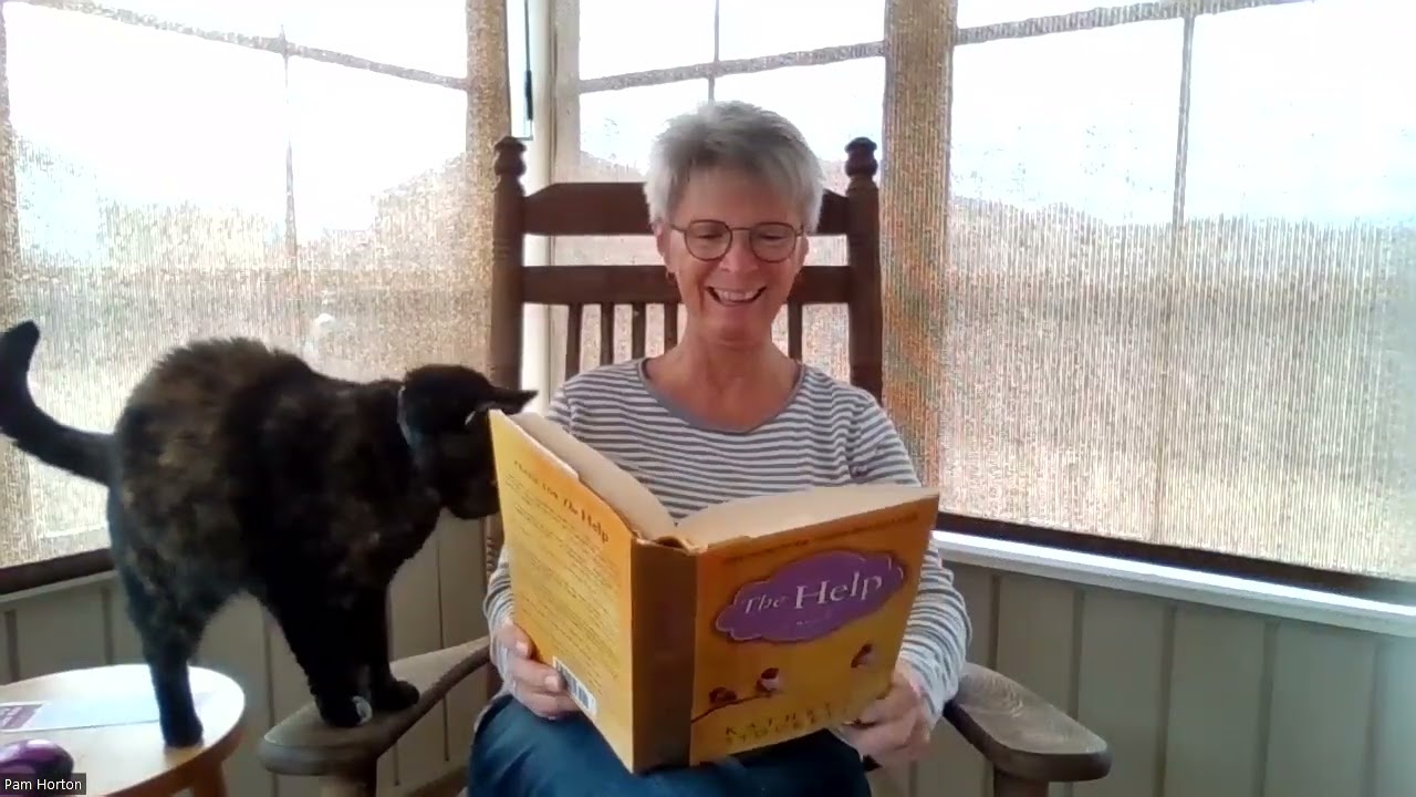 The Help Chapter 16