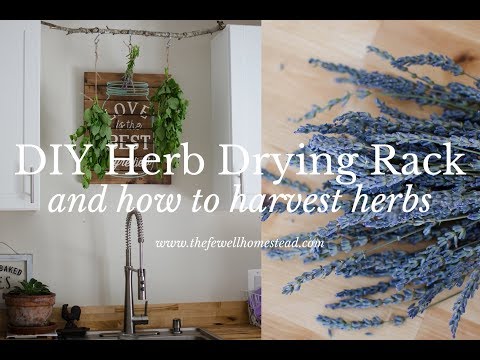 DIY Herb Drying Rack (and how to harvest herbs)