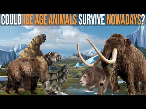 Could Ice Age Megafauna Survive Nowadays?