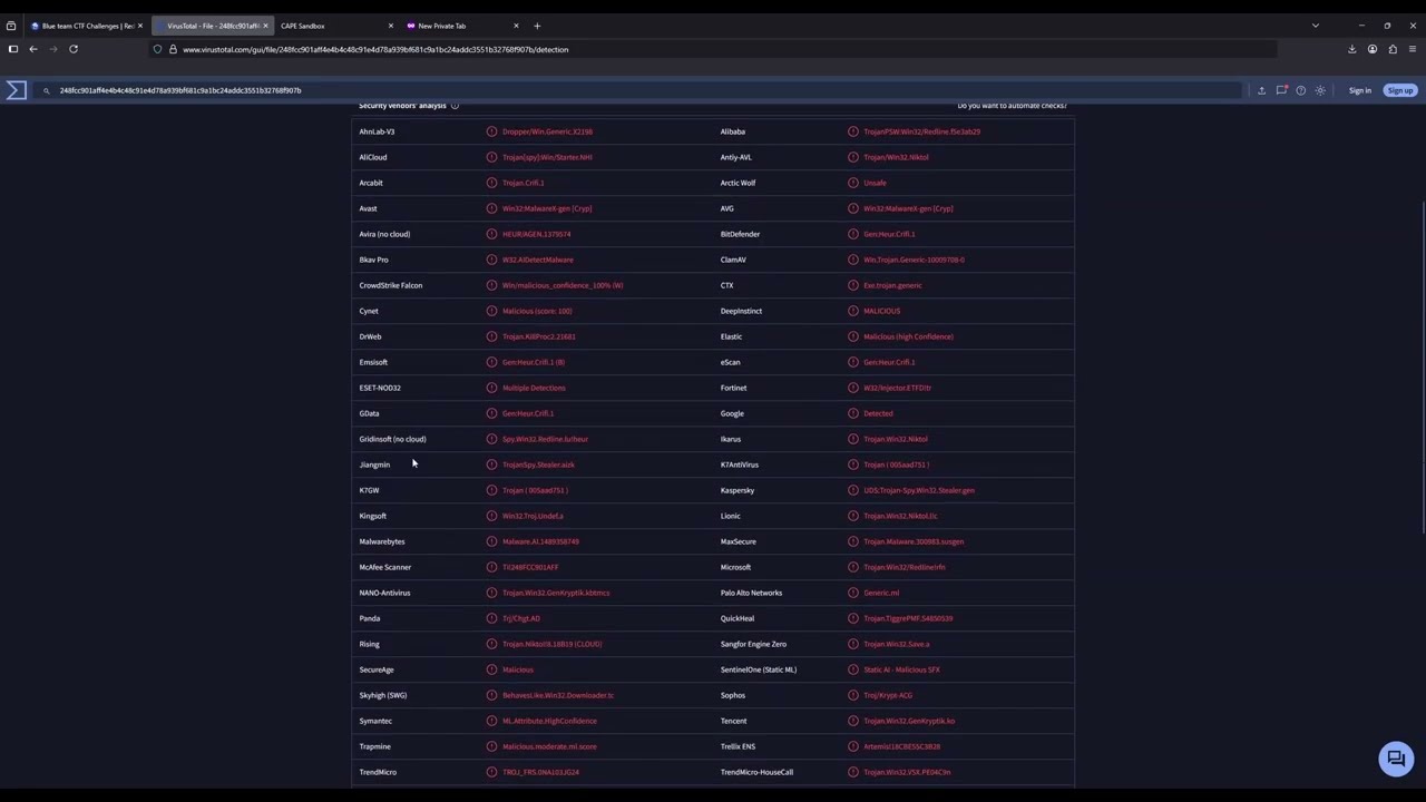 Red Stealer Lab | CyberDefenders