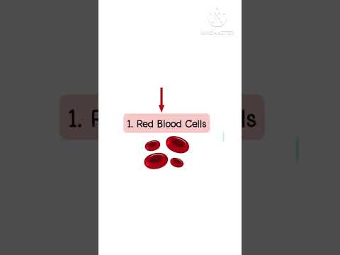 Type blood cell vector image, Rbc, wbc, platlet #hematology #pathology #cells #fact