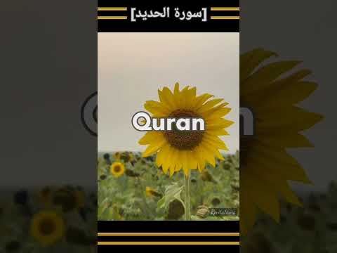 Surah Al-Hadid verse 22-24 #quran