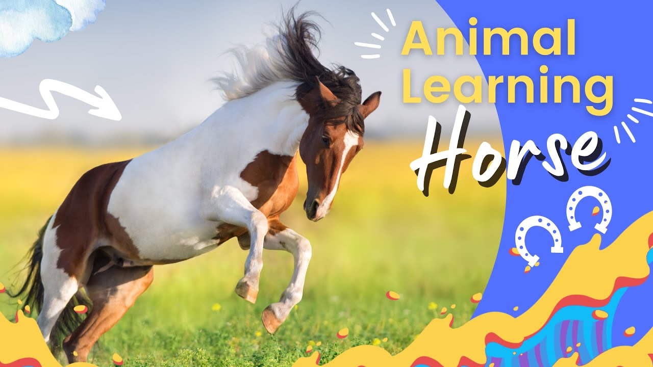 Best Learning Videos About Horses For Kids 🐴✨ | Horse For Kids | All About Horses | Horses Fun Facts