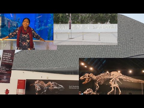THE NATIONAL HISTORY MUSEUM ABU DHABI EXHIBITION AL SAADIYATH MANARAT / DINOSAUR T REX SKELETON