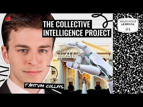 White House Operator Tantum Collins on AI Regulation and Geopolitical Impacts