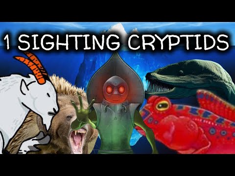 One Sighting Cryptids Iceberg Explained