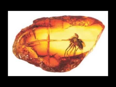 Amber Metaphysical Uses