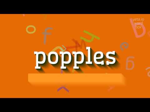 POPPLES - How to say Popples?