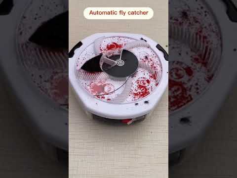 Automatic Fly Catcher | #shorts