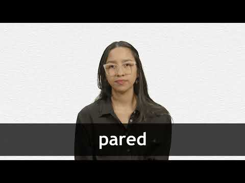 English Translation of “PARED” | Collins Spanish-English Dictionary