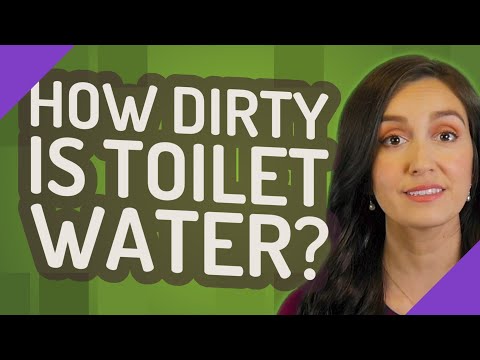 How dirty is toilet water?