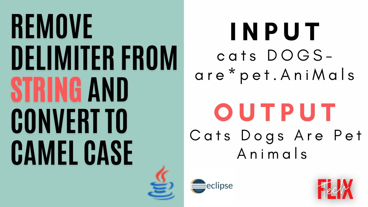 How to remove special characters from string and convert to Camel Case | Placement Questions