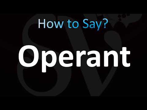 How to Pronounce Operant (CORRECTLY!)
